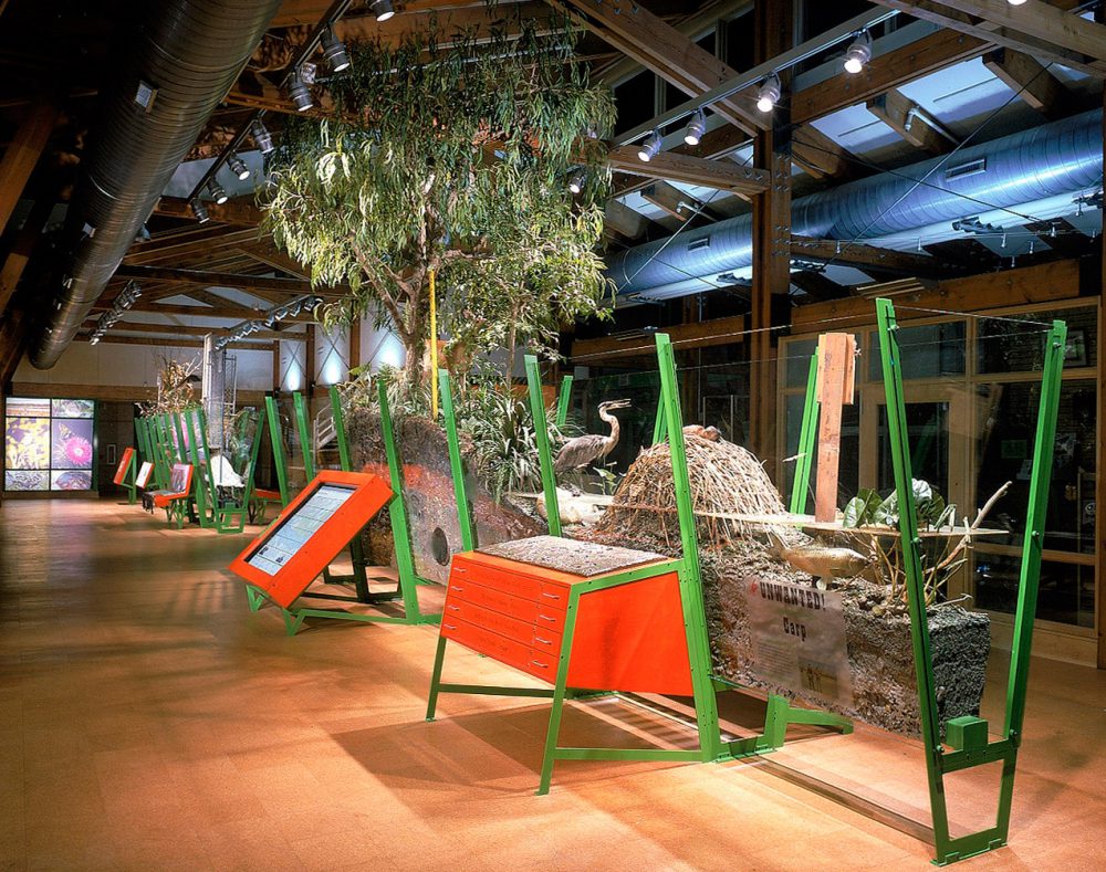 Susan Abel Maxman | Pioneering Women of American Architecture